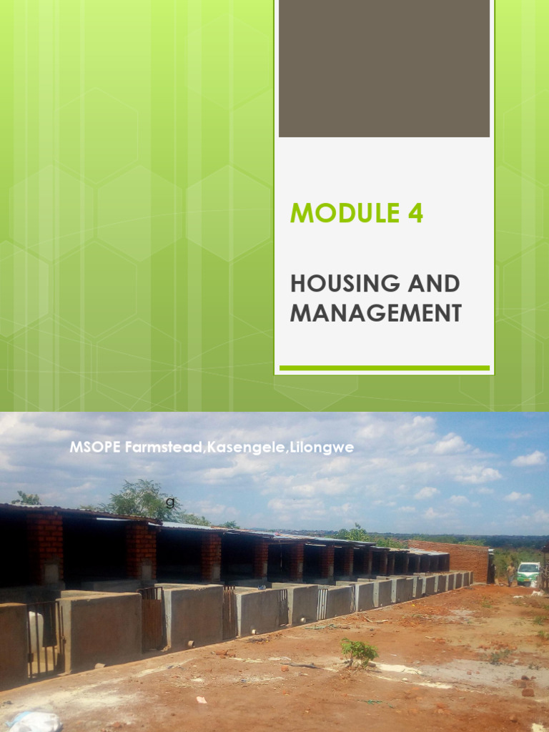 Pig Housing Systems and Management Guide | PDF | Pig | Agriculture