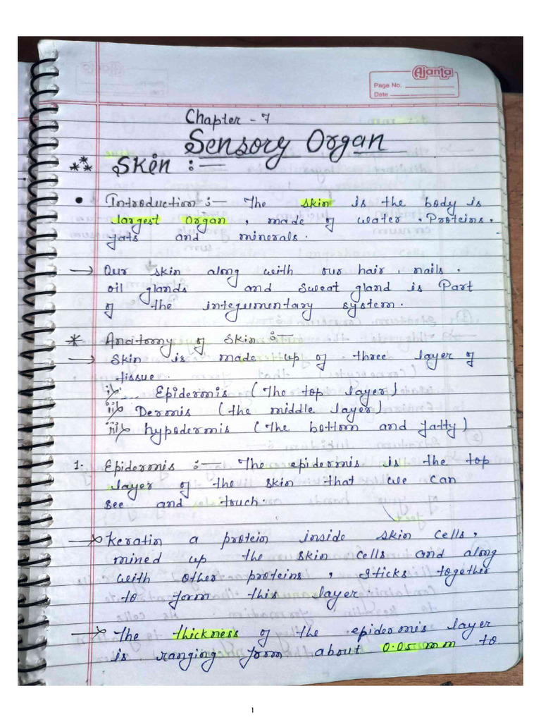 sensory organs | PDF