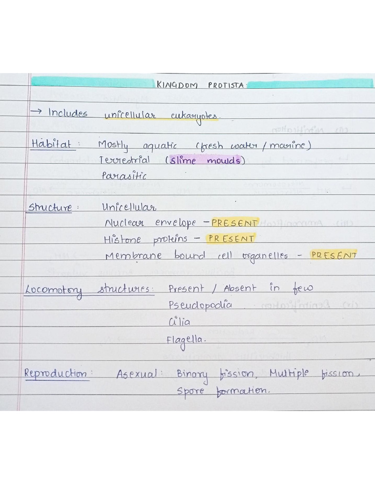 Kingdom Protista Notes | PDF