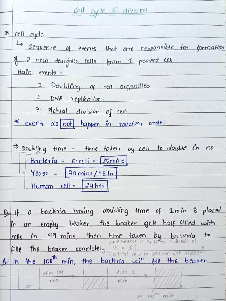 Cell Cycle and Division | PDF