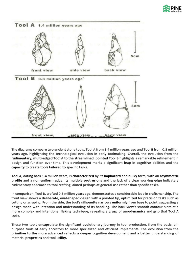 Stone Tools | PDF
