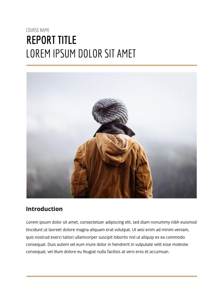 Report 2 | PDF