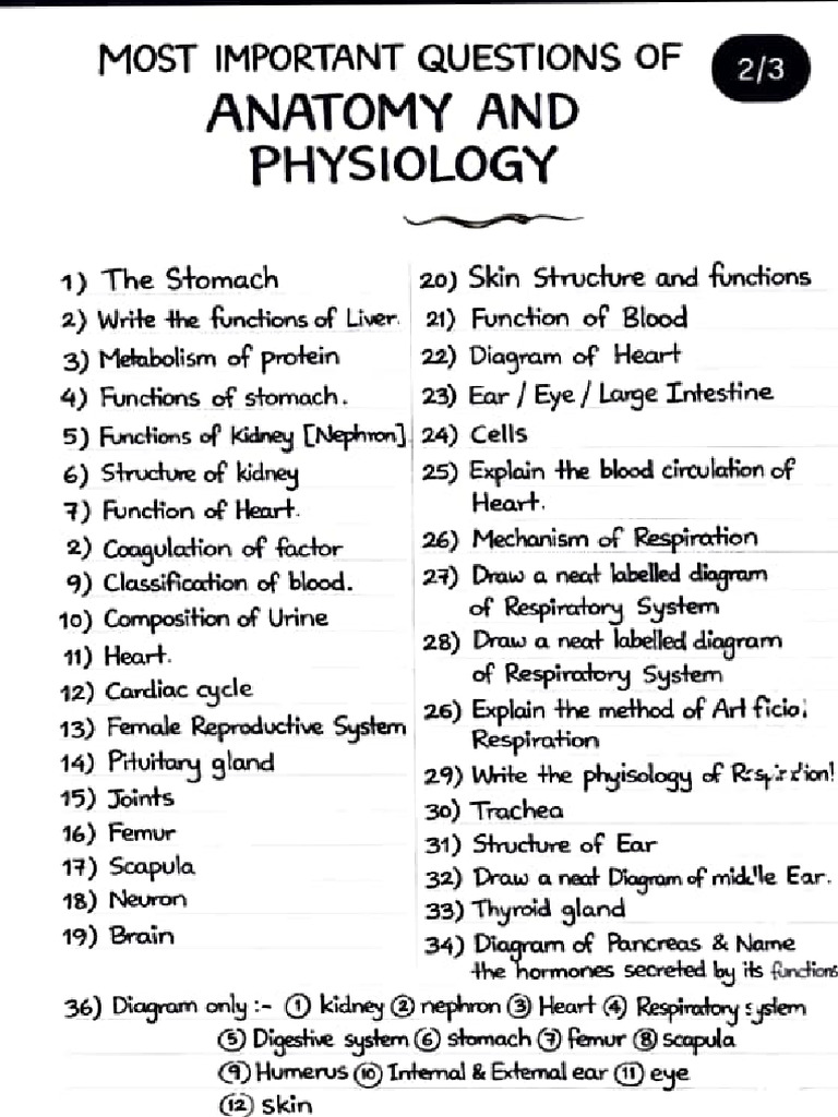 Important Questions ? | PDF