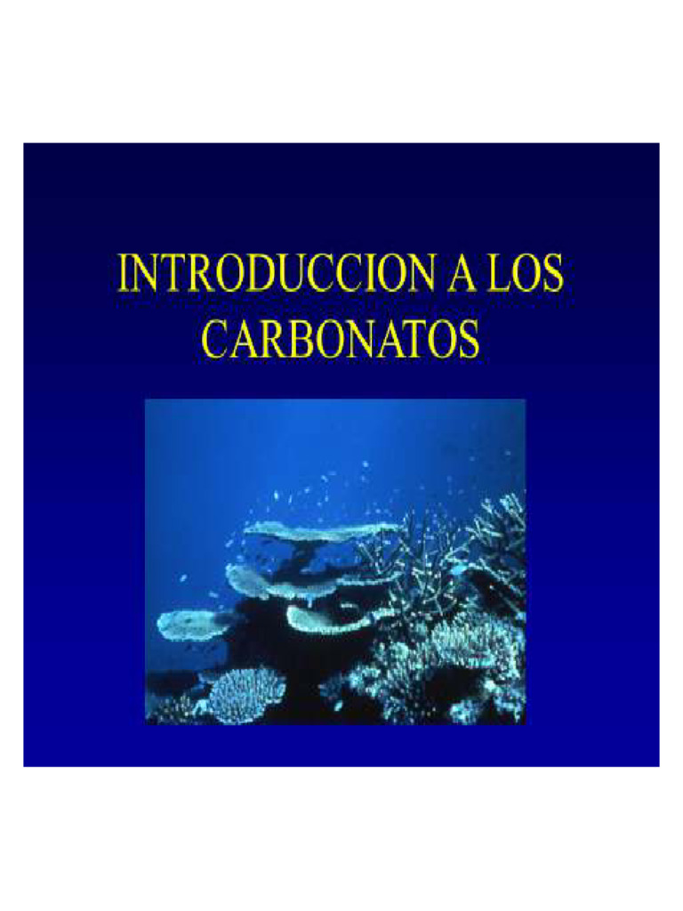 ROCAS DE ORIGEN QUIMICO | PDF | Limestone | Sedimentary Rock