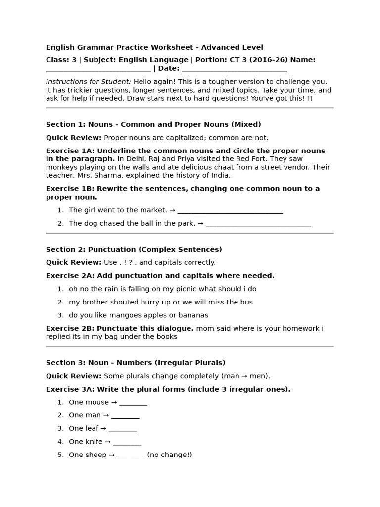 English Grammar Practice Worksheet | PDF | Grammatical Gender | Adjective