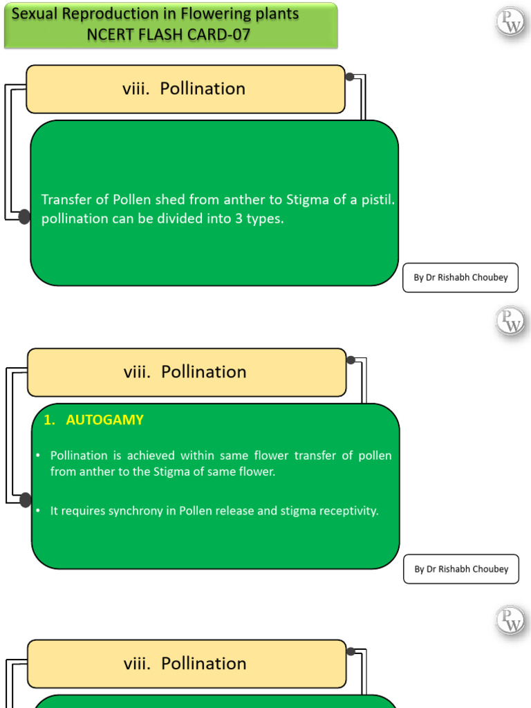 Sexual Reproduction in Flowering Plant Ncert Flash Card 07 | PDF