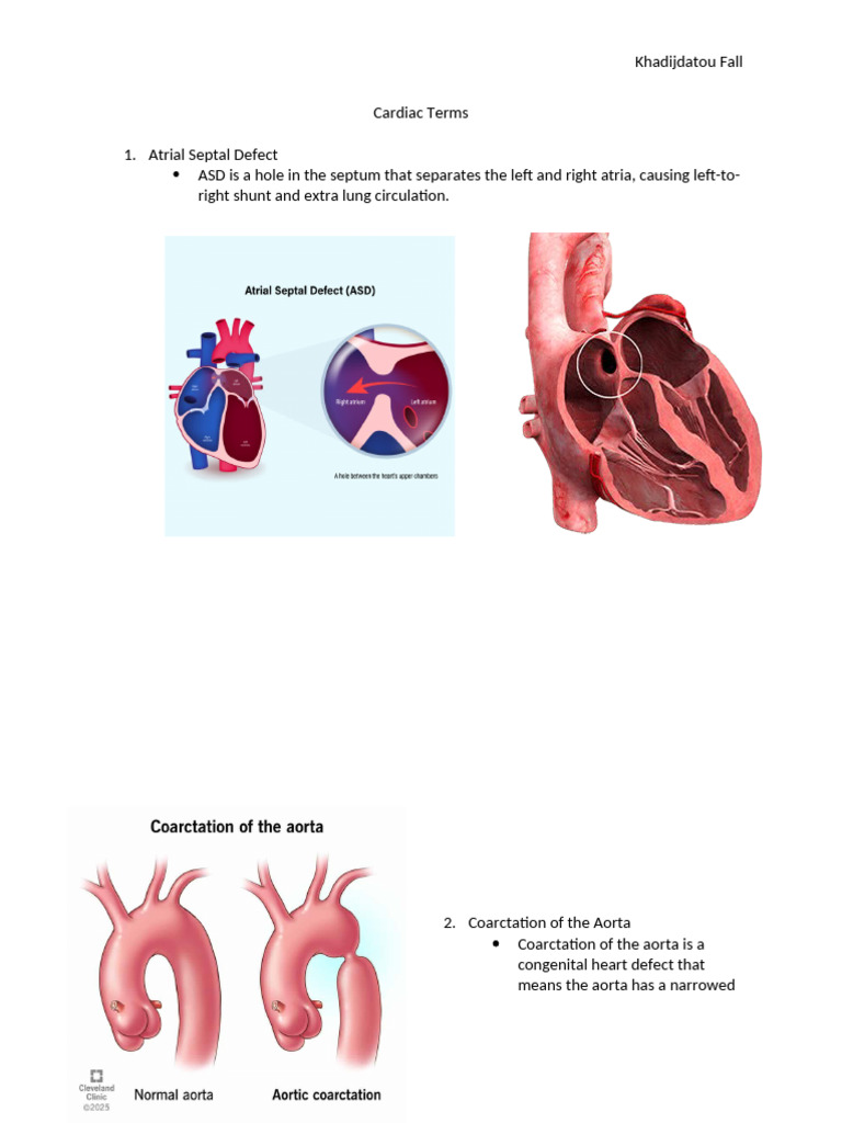 Cardiac Terms | PDF | Heart Valve | Heart
