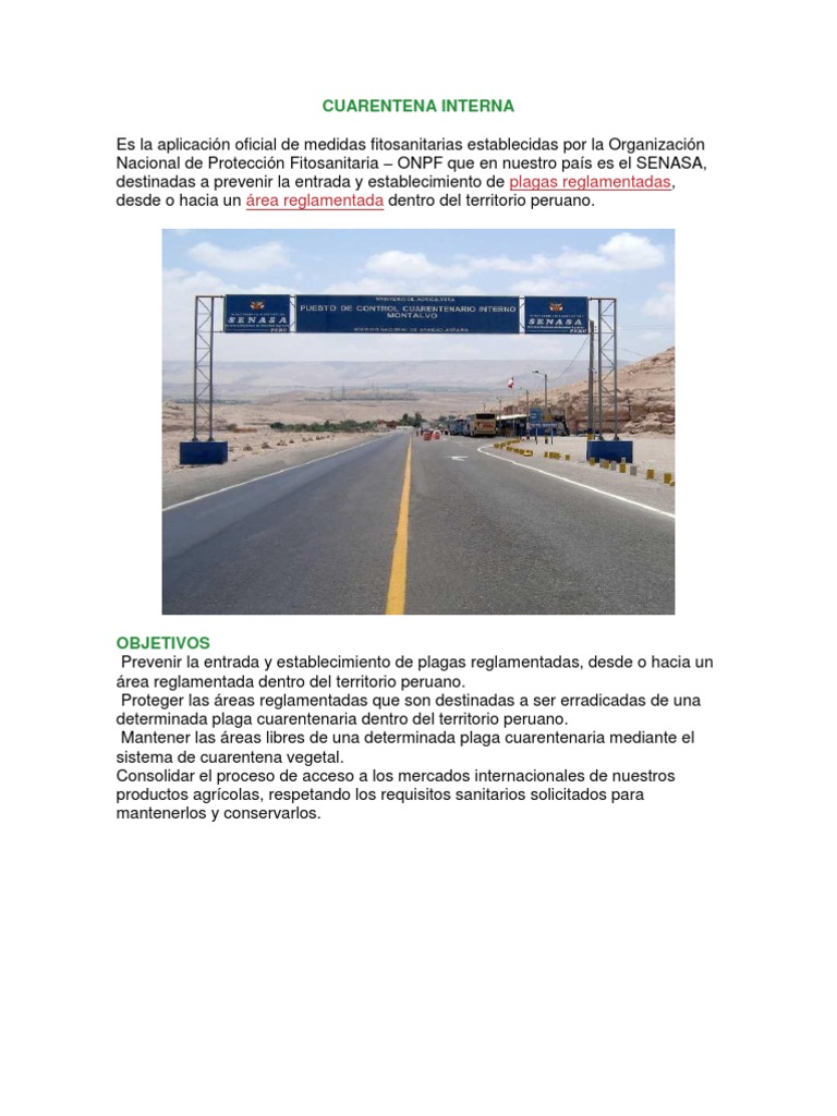 Cuarentena Interna | PDF | Plaga (organismo) | Perú