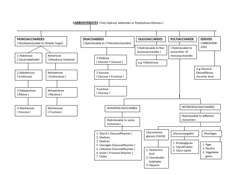 CARBOHYDRATES Classification Flow Chart | PDF | Carbohydrates | Glucose