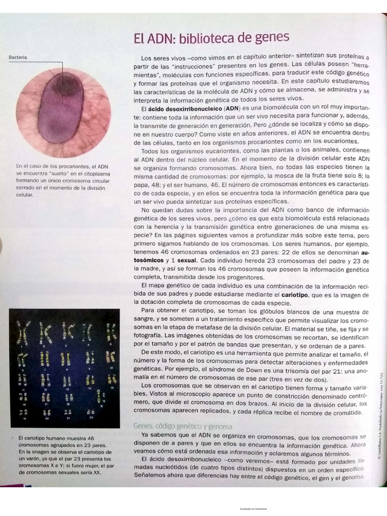 ADN. Biología Santillana | PDF