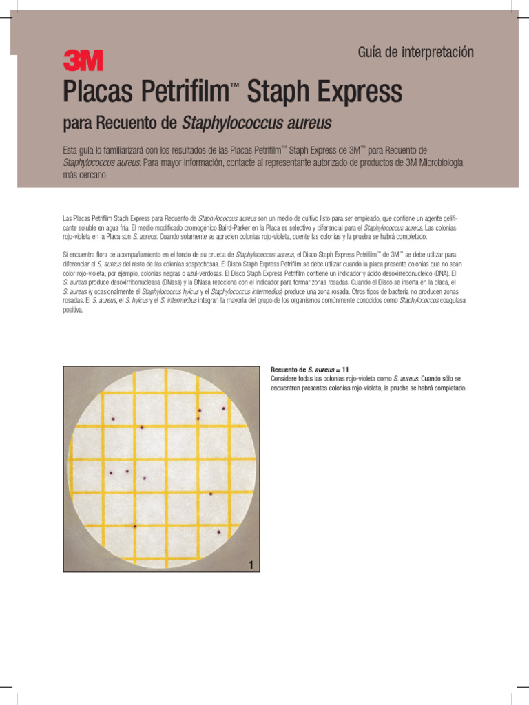 3m-petrifilm-staph-express-interpretation-guide-spanish--COCCUS-- | PDF ...