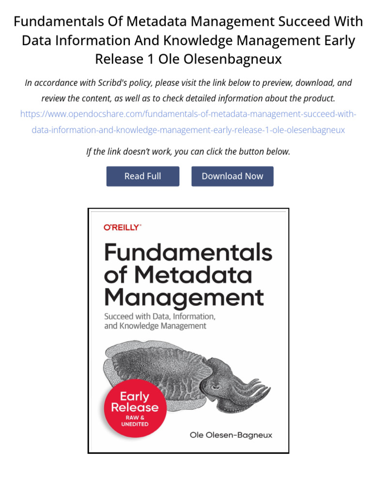 Fundamentals Of Metadata Management Succeed With Data Information And ...
