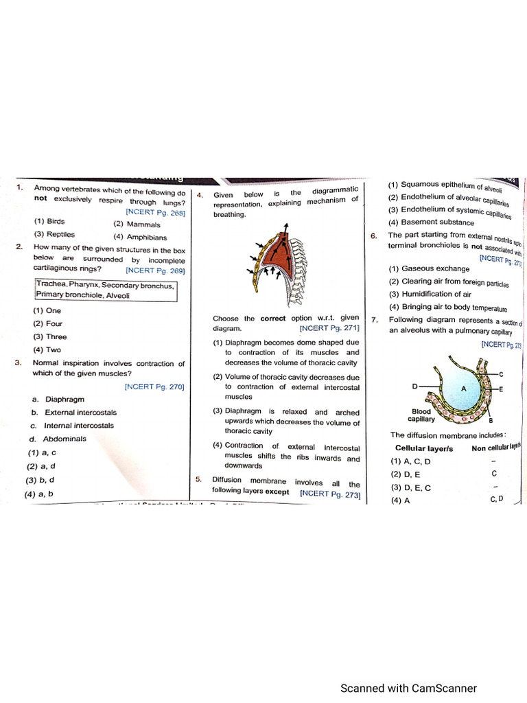 Breathing&Exchange Ncert Based MCQ Set 1 | PDF