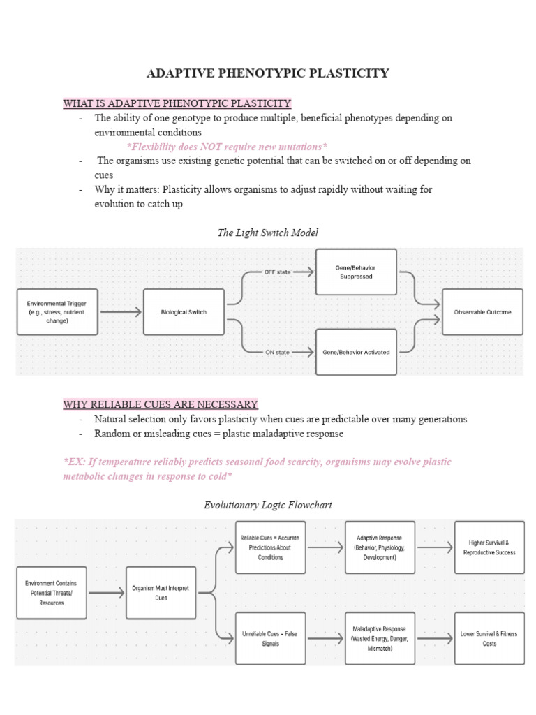 PSY 379- EC Final Exam Topic Explainer.pdf | PDF | Phenotype | Evolution