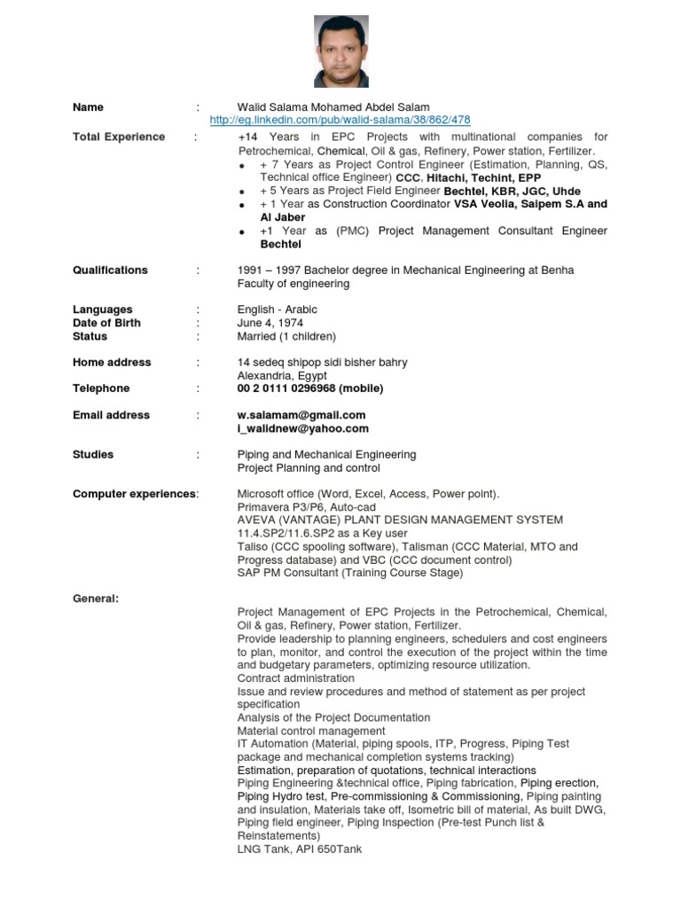 Multidisciplinary Engineer CV For Project Engineering and Project Control (QS, Planning ...