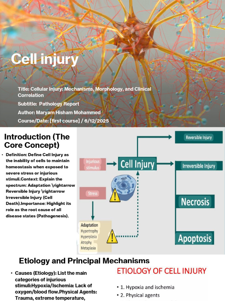 Presentation (19) | PDF | Myocardial Infarction | Reactive Oxygen Species