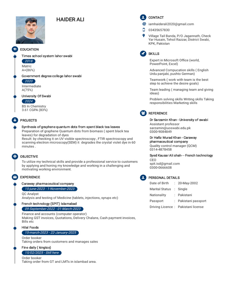 Haider Ali Cv. | PDF