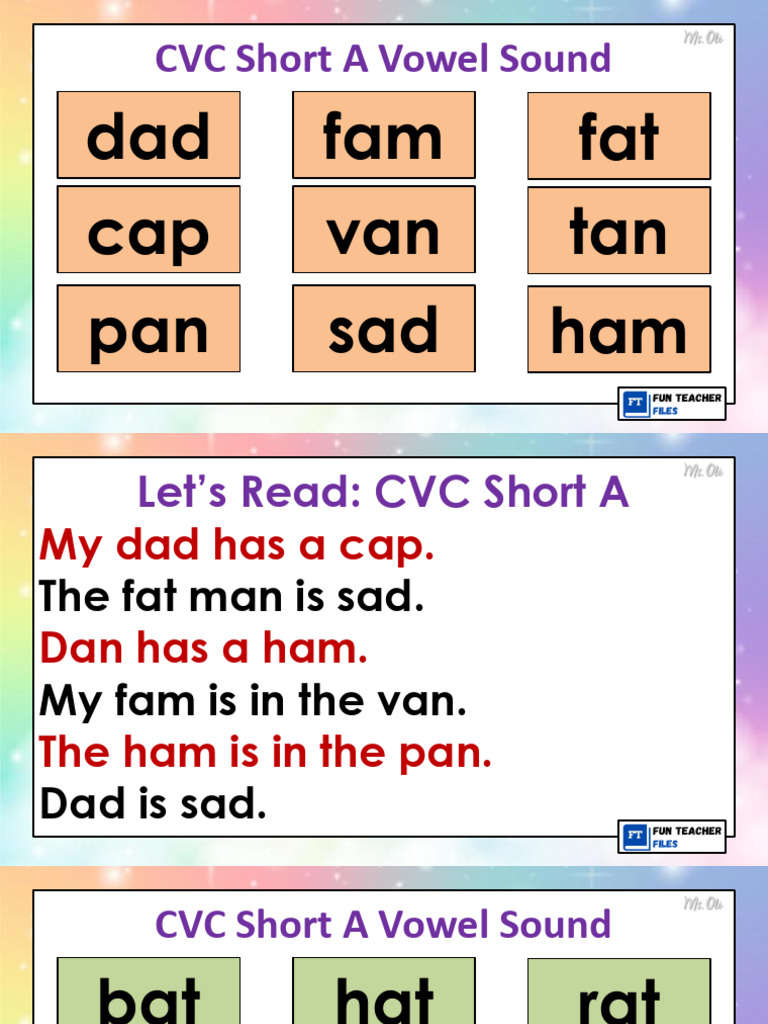CVC Short Vowel Sounds Reading Guide | PDF