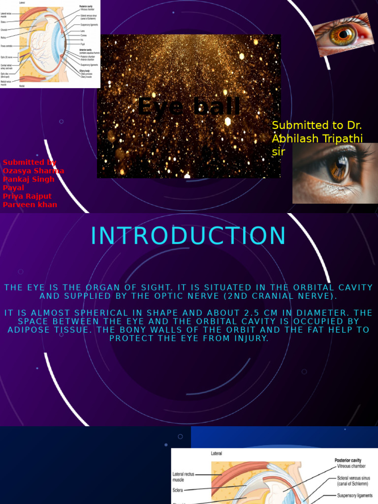 Anatomy and Functions of the Eye | PDF | Human Eye | Retina