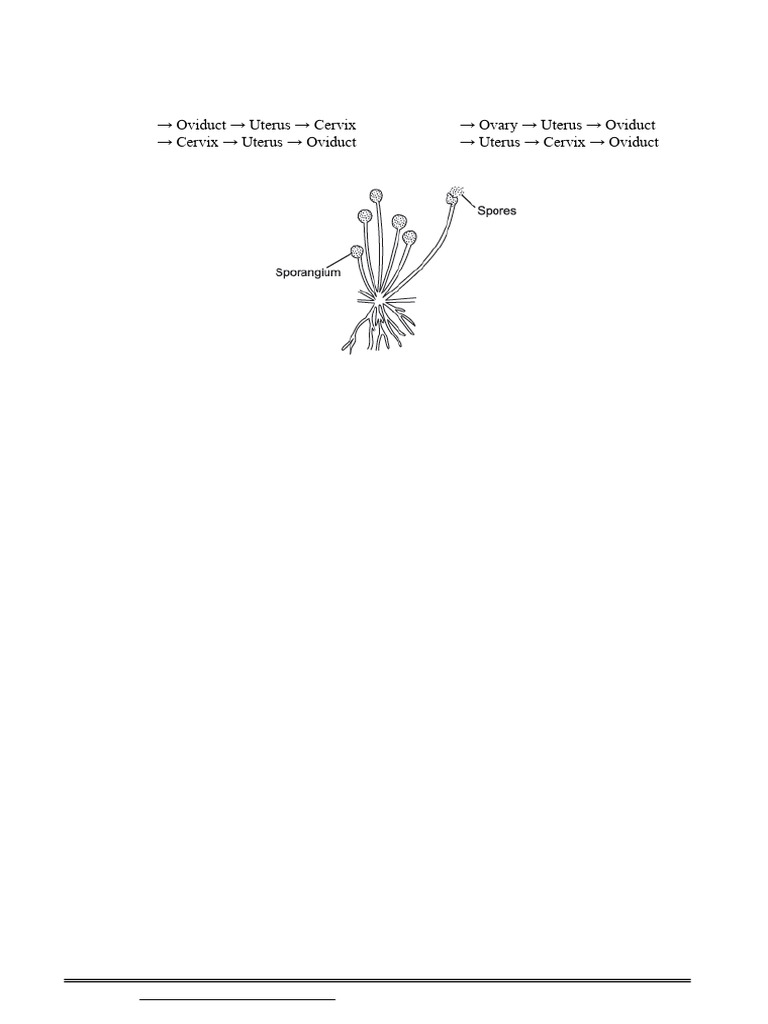 Science Class x Sample Paper Test 01 for Board Exam 2026 Qp (1) (1) (1 ...