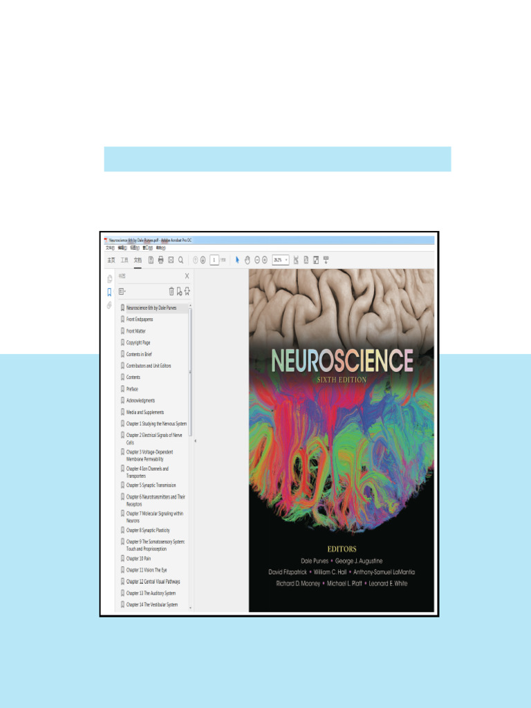 (Ebooks) Neuroscience 6th by Dale Purves newest edition 2025 | PDF ...