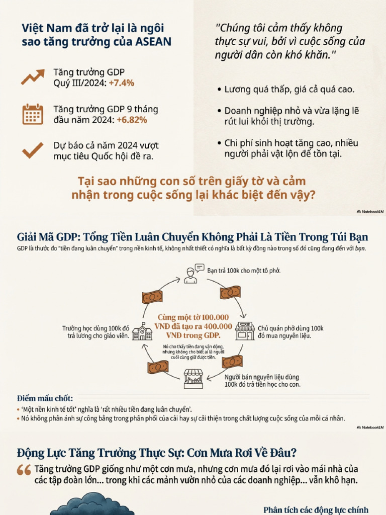 Kinh Tế Việt Nam Hai Câu Chuyện Một Thực Tế | PDF