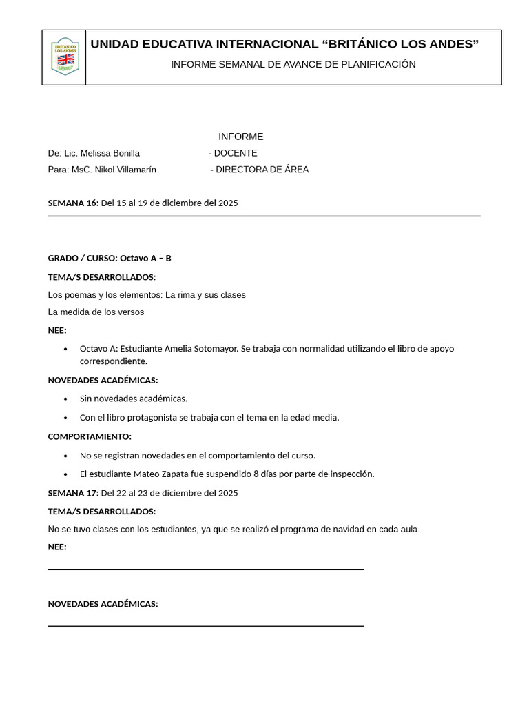 Formato - Informe Avance Planificacion1 | PDF