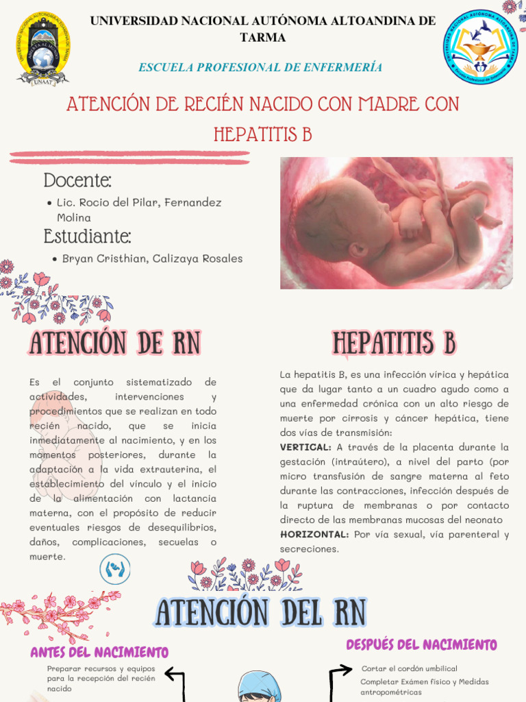 Atención de Rn Con Madre Con Hepatitis b | PDF | Hepatitis B | Hepatitis