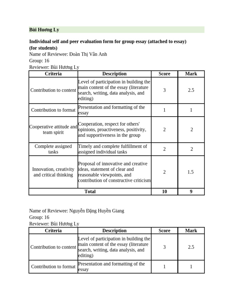Group Essay Peer Evaluation Form | PDF | Essays | Critical Thinking