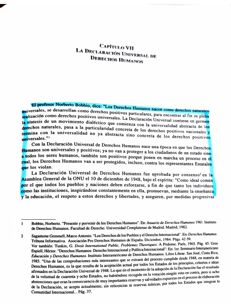 Origen de Los Derechos Humanos | PDF
