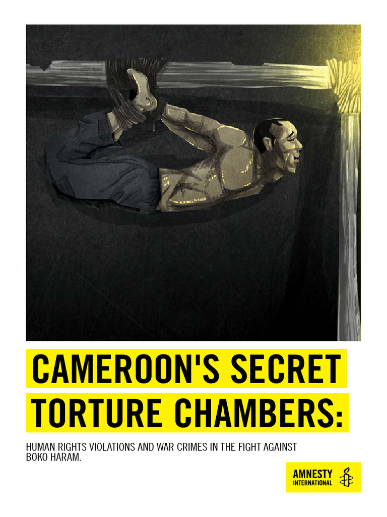 Int Cat Css Cmr 29182 e | PDF | Torture | World Politics