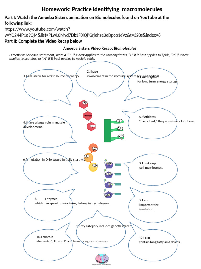Amoeba Sisters Macromolecule Identification | PDF | Macromolecules ...