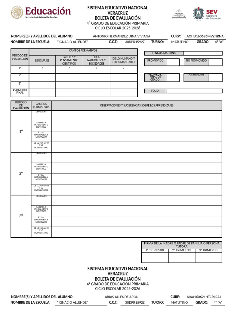 Boleta Editable Rodesp | PDF | Escuelas | Educación primaria
