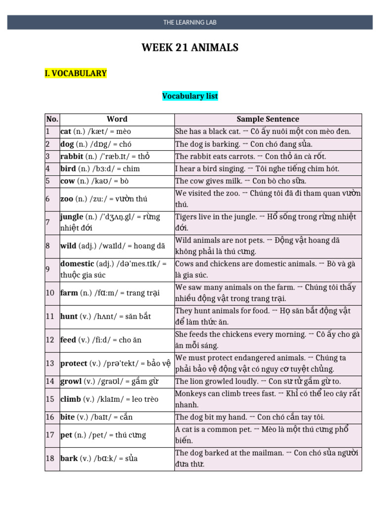 Week 21 | PDF