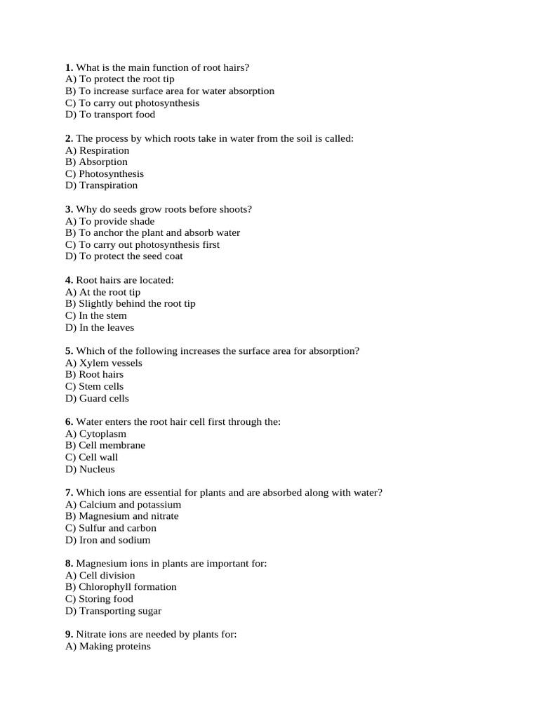 xylem floem question | PDF | Root | Leaf