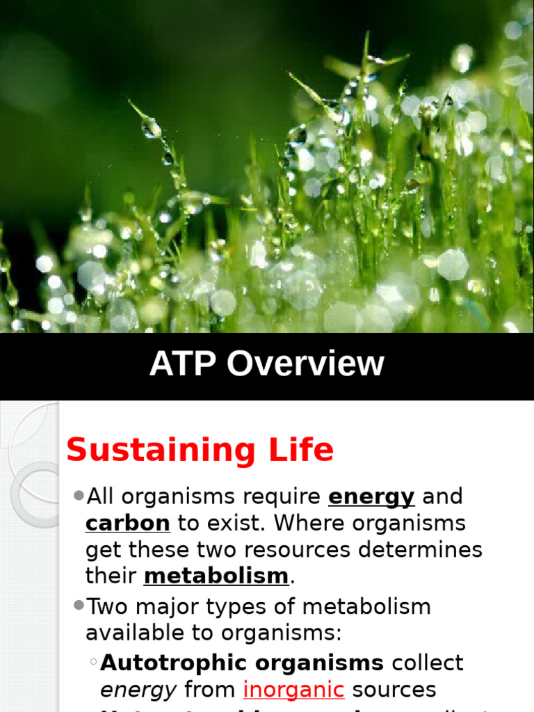 2 ATP Overview | PDF