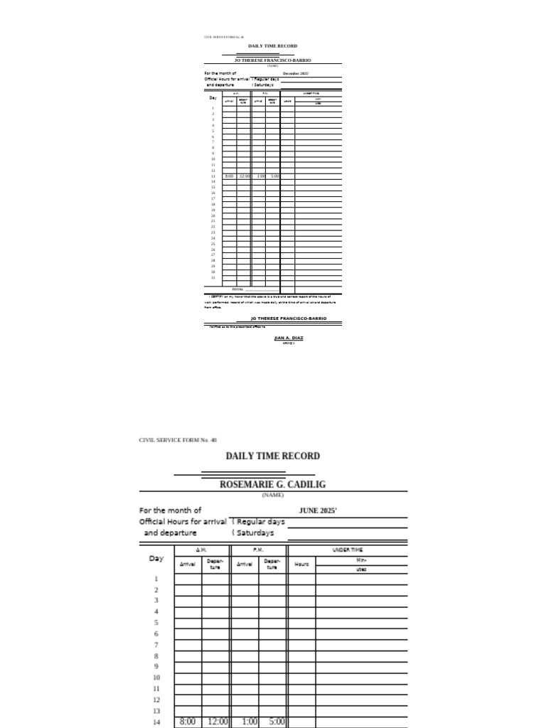 DTR-BLANK | PDF