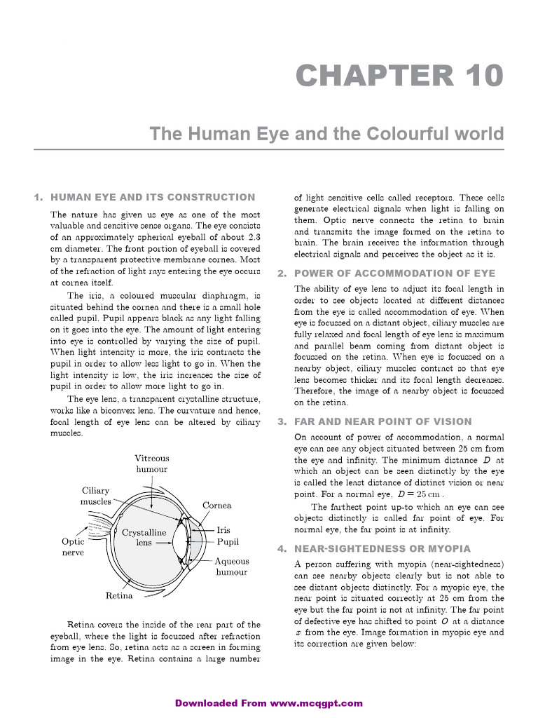 Understanding the Human Eye Structure | PDF | Eye | Rainbow
