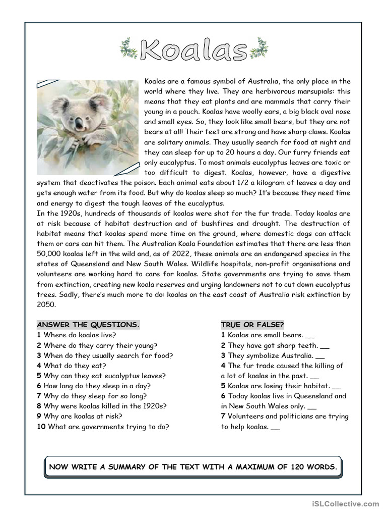 Koalas: Endangered Australian Marsupials | PDF | Koala | Zoology