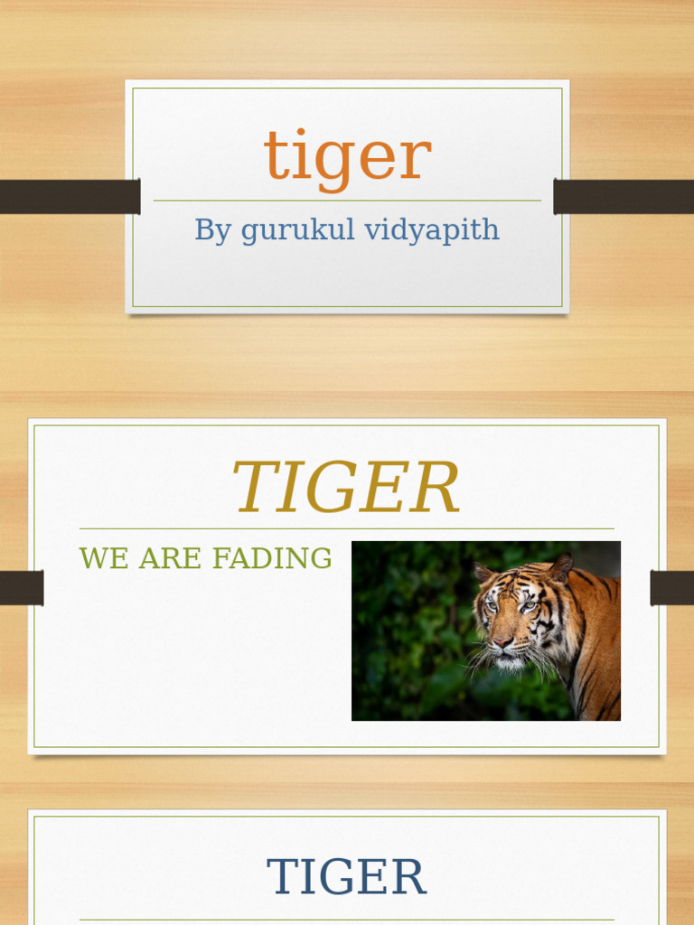 Tiger 1 | PDF
