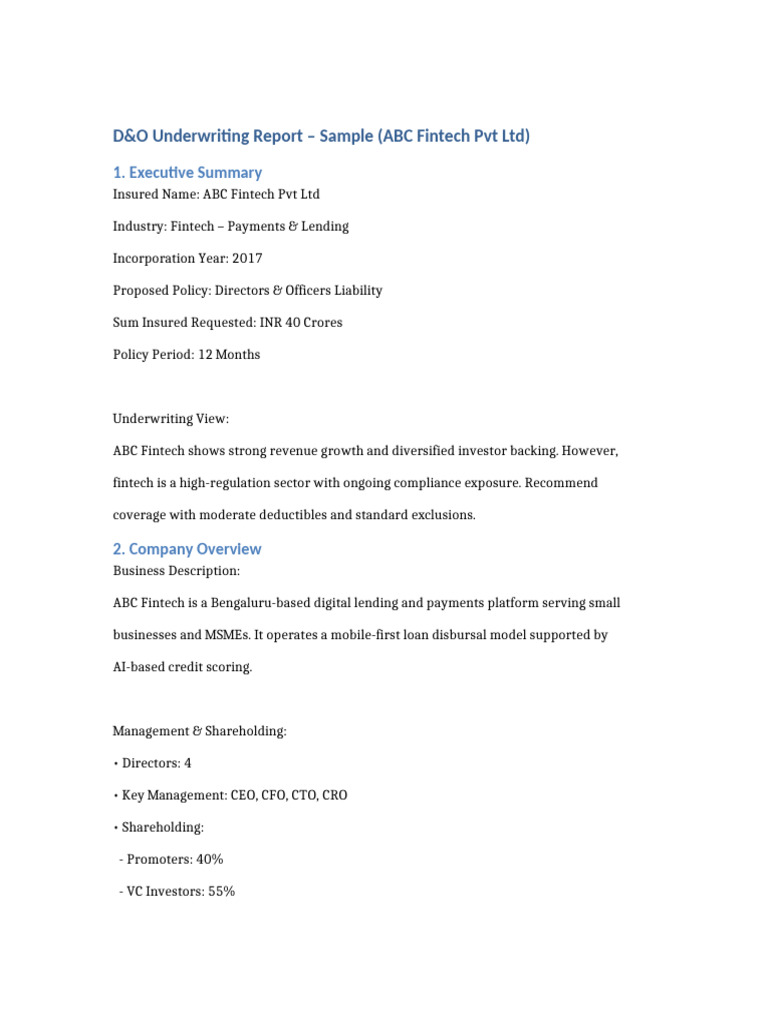 DO Underwriting Report ABC Fintech | PDF | Insurance | Financial Technology