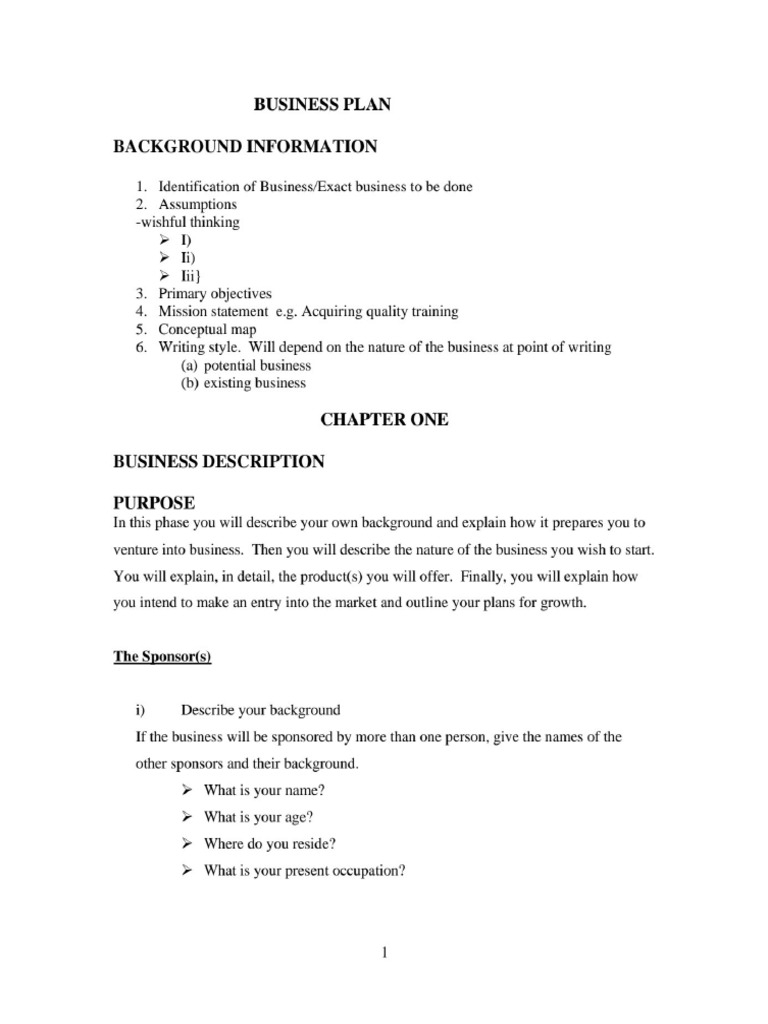 BUSINESS PLAN TEMPLATE(1) | PDF
