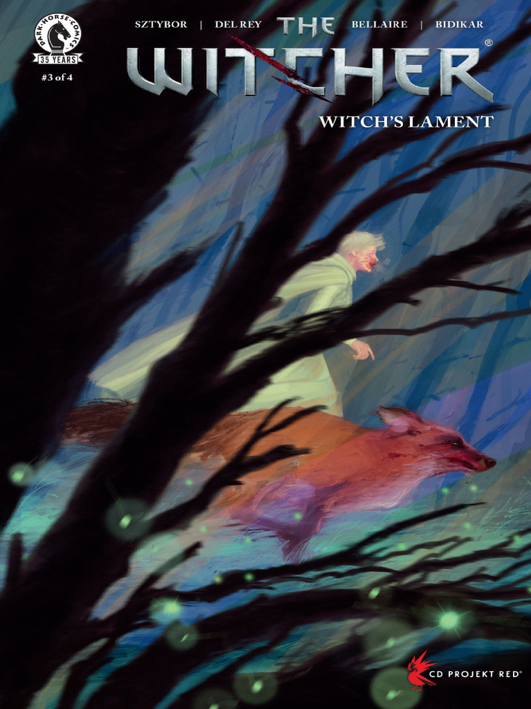 The Witcher - Witch's Lament 03 (of 04) (2021) | PDF