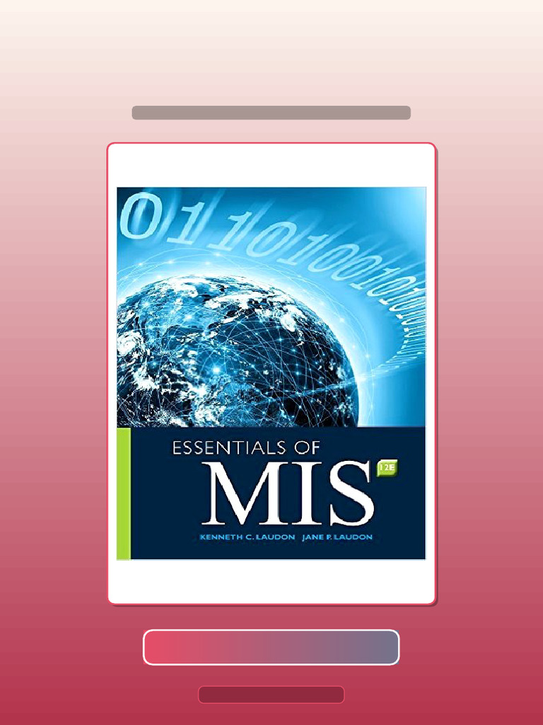 Test Bank for 9780134238241 Essentials of MIS | PDF | Information