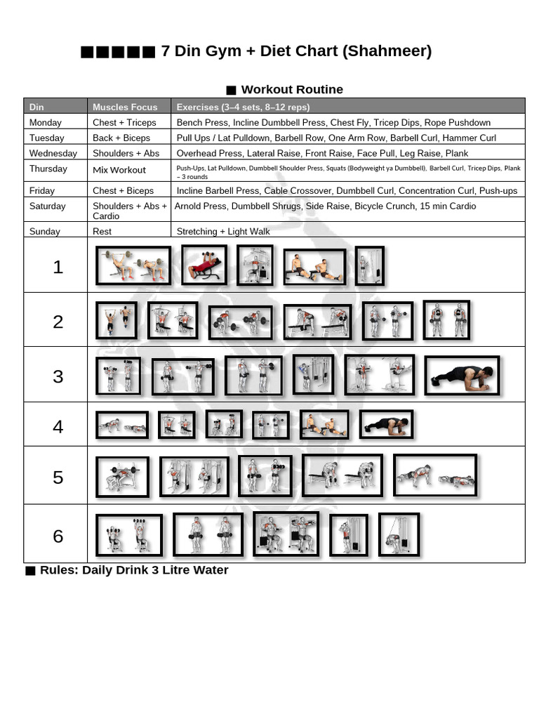 7-Day Gym and Diet Plan Guide | PDF