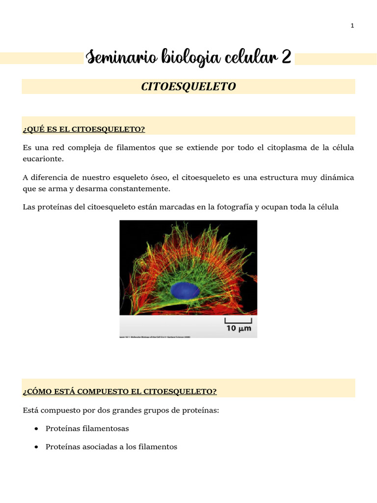 SBC_2 | PDF | Microtúbulos | Actina