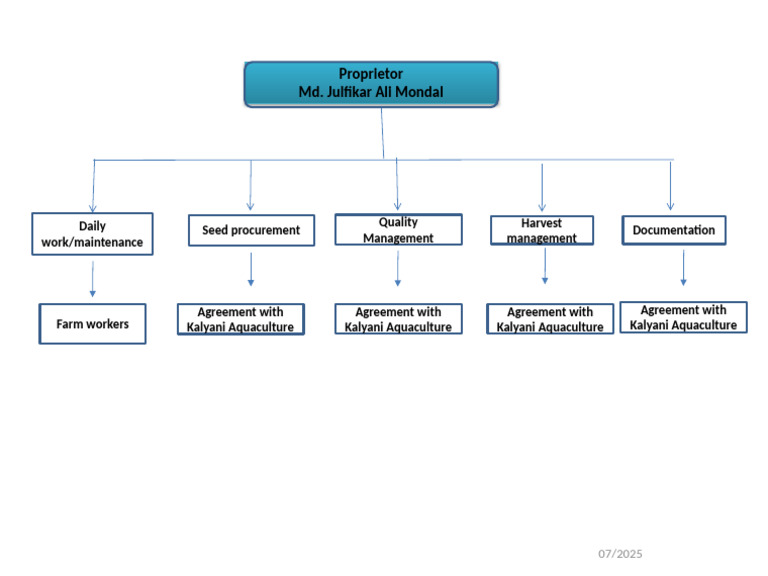 Organization Chart 2025 | PDF