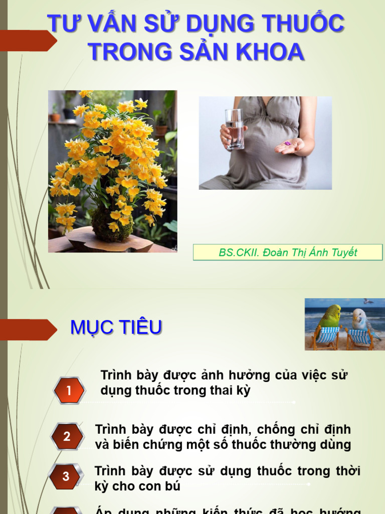 Sư Dung Thuoc San Khoa | PDF
