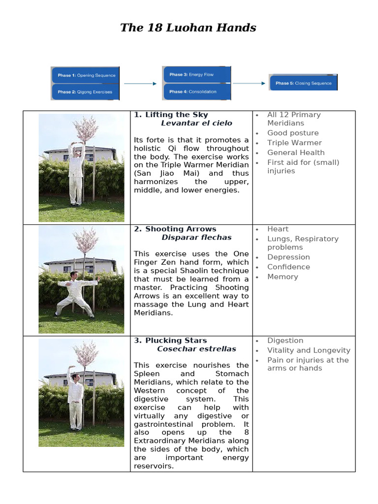 18 Luohan Hands Qigong Exercises | PDF | Meridian (Chinese Medicine) | Qi