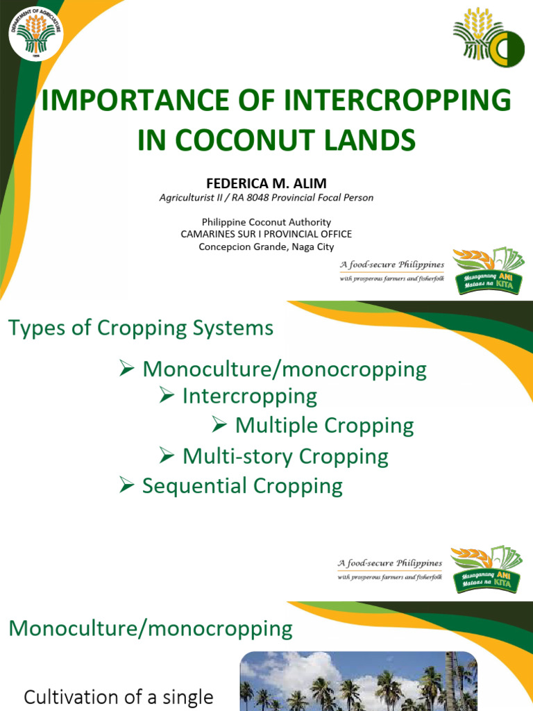 Intercropping Benefits for Coconut Farms | PDF | Crops | Legume